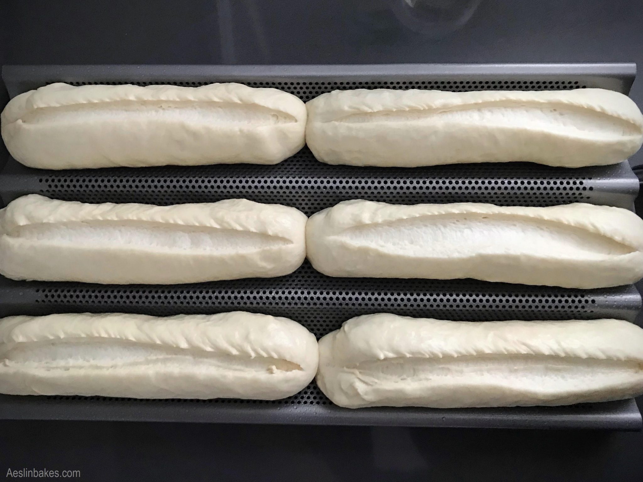 Soft, Crispy, Chewy Hoagie Rolls (Tangzhong) - AeslinBakes