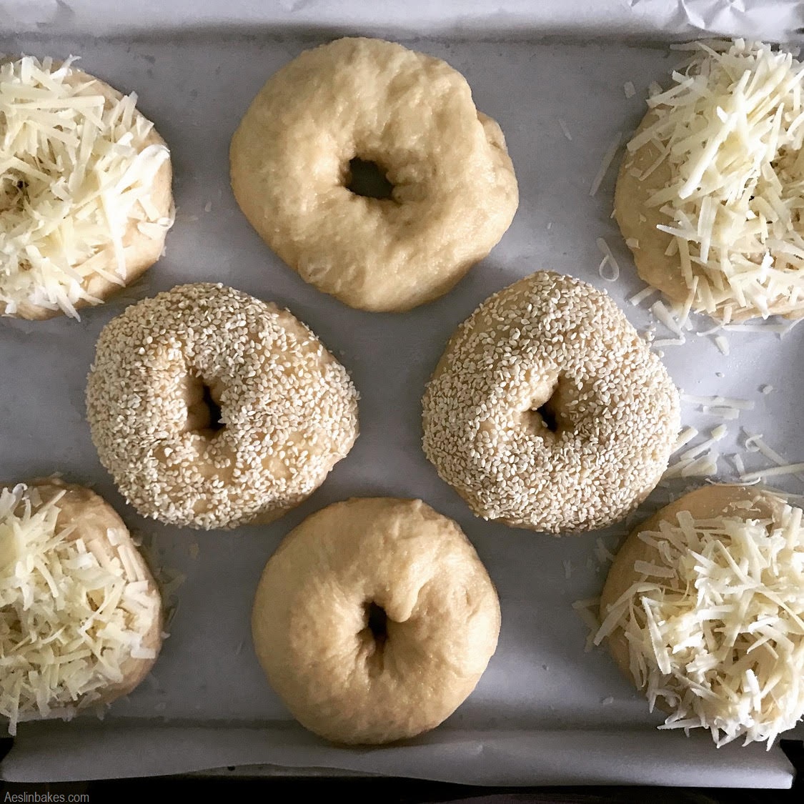 Really Good Chewy Homemade Bagels (Yudane Method for Better, Fresher ...